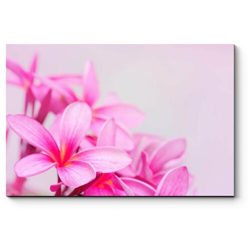 Модульная картина Свежие тропические цветы 110x73