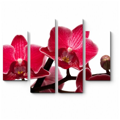 Модульная картина Магия орхидей 120x90