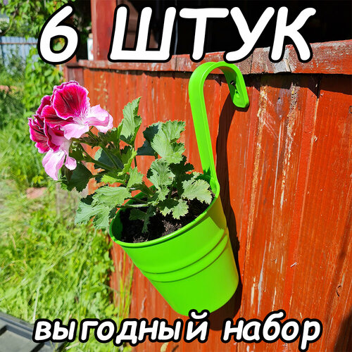 Выгодный набор 6 штук. Настенное ведёрко-кашпо, с креплением под трубу или гвоздик. Цвет: Салатовый.