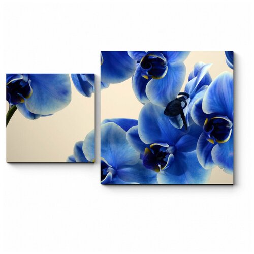 Модульная картина Синие орхидеи 50x30