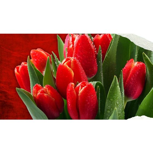 Картина на холсте 60x110 LinxOne "Flowers colorful tulips" интерьерная для дома / на стену / на кухню / с подрамником