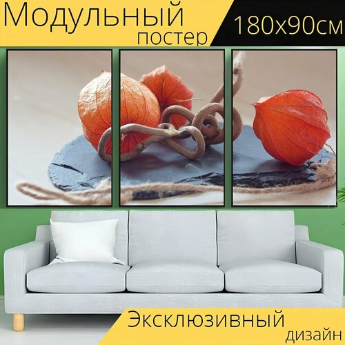 Модульный постер "Физалис, лампион цветок, анденберри" 180 x 90 см. для интерьера