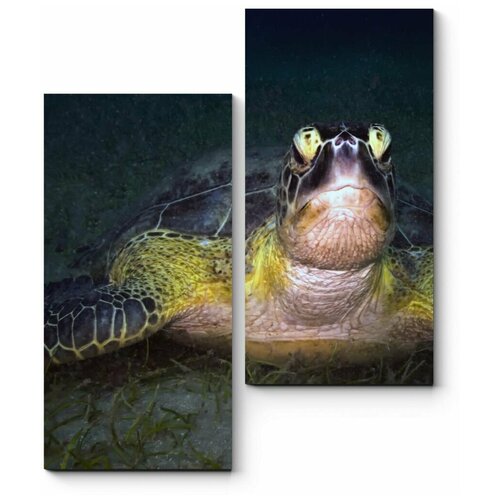Модульная картина Зеленая черепаха ночью 40x50