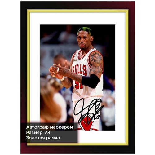 Постер в раме с автографом Дэннис Родман, Чикаго Буллз, НБА, Баскетбол, А4, золотая рама