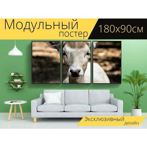 Модульный постер "Косуля, животное, голова" 180 x 90 см. для интерьера