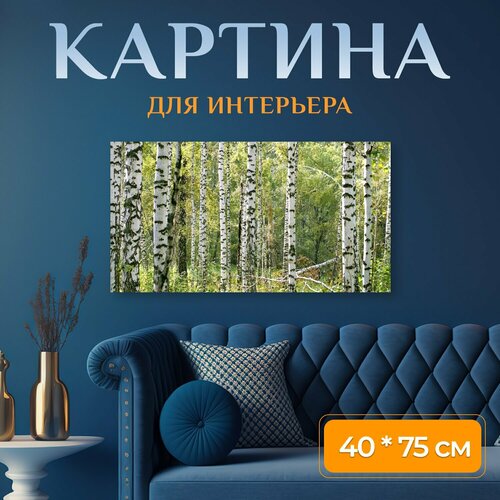 Картина на холсте "Берёзы, лес, природа" на подрамнике 75х40 см. для интерьера