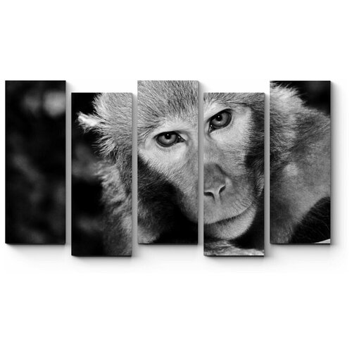 Модульная картина Портрет харизматичной обезьянки170x98