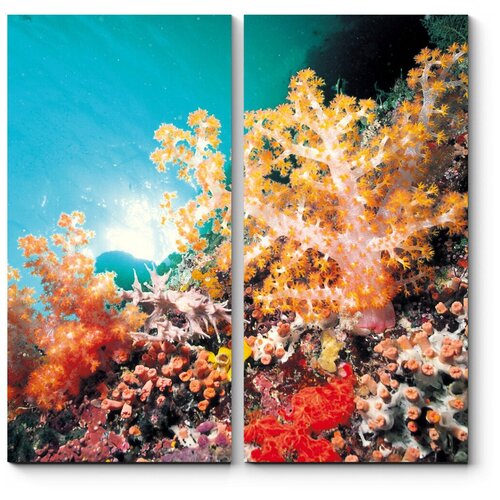 Модульная картина Яркий коралловый мир 40x40