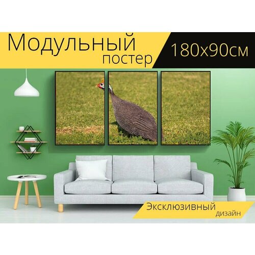 Модульный постер "Птица, дикий, цесарка" 180 x 90 см. для интерьера