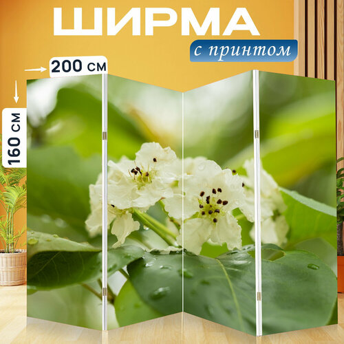 Ширма перегородка с принтом "Цветы, листья, растения" на холсте - 200x160 см. для зонирования, раскладная