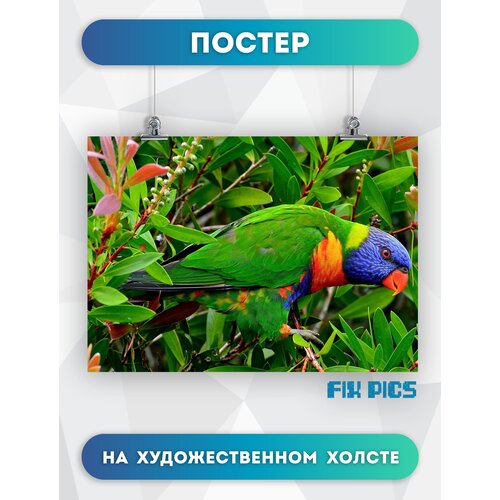 Постер на холсте Попугай (59) 40х60 см