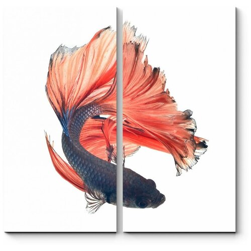 Модульная картина Роскошная рыба 70x70