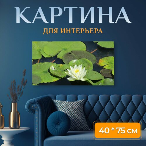 Картина на холсте "Водяная лилия, лилии, водные растения" на подрамнике 75х40 см. для интерьера