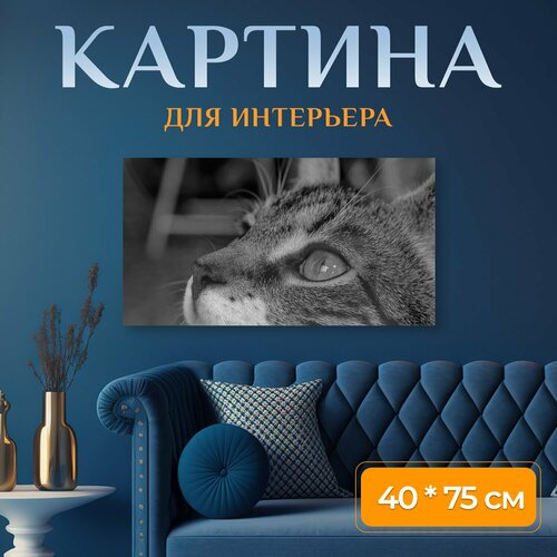 Картина на холсте "Похмелье, небольшой, чернить" на подрамнике 75х40 см. для интерьера