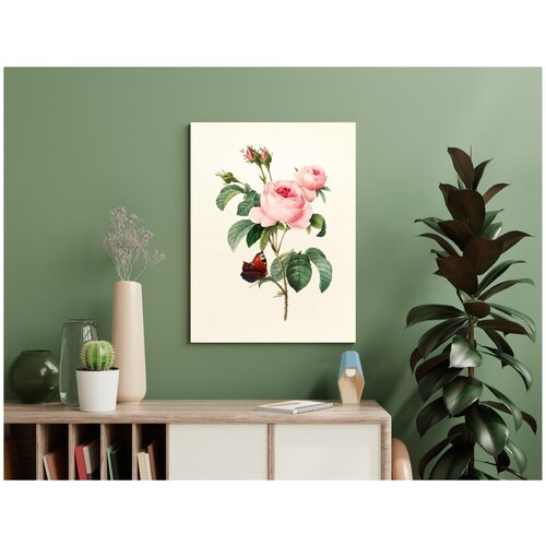Интерьерная картина на холсте натянутая на подрамник / 50х70 / Ботаника "Роза" / в кухню / в спальню / в гостиную / на стену