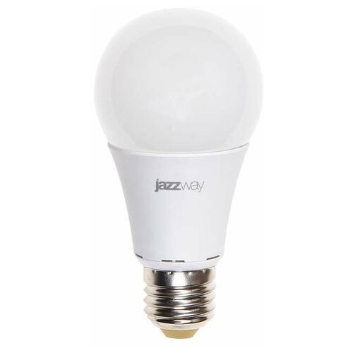 Лампа светодиодная PLED-ECO/SE-A60 11Вт грушевидная 5000К холод. бел. E27 840лм 230В JazzWay 1033222 (2шт.)