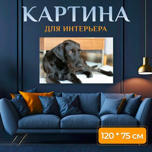 Картина на холсте "Чернить, собака, врущий" на подрамнике 120х75 см. для интерьера