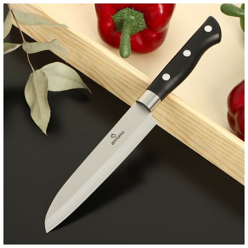 Нож кухонный Доляна «Кронос», лезвие 13,5 см