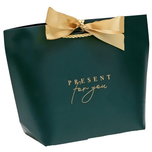 Комплект 3 штук, Пакет подарочный Present for you, 28 х 20 х 9 см, темно-зел, 4785005