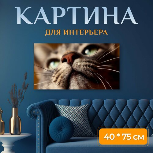 Картина на холсте "Кошка, животное, домашний питомец" на подрамнике 75х40 см. для интерьера