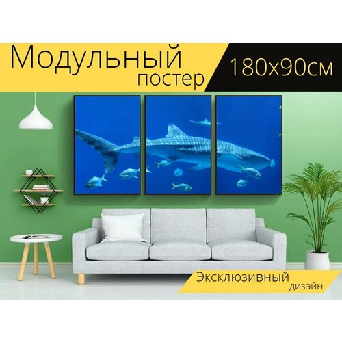 Модульный постер "Морской, акула, синий" 180 x 90 см. для интерьера