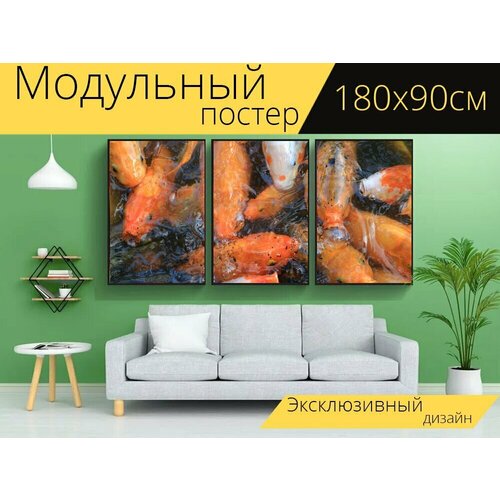 Модульный постер "Карп, рыбы, золотая рыбка" 180 x 90 см. для интерьера