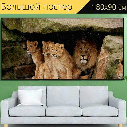 Большой постер "Львицы, лев, хищник" 180 x 90 см. для интерьера
