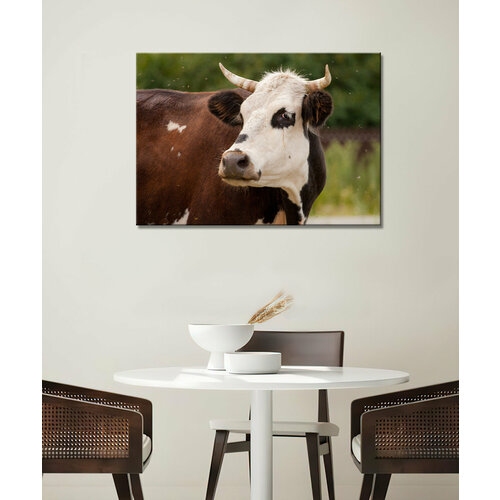 Картина -Корова, коричневая корова, корова на пастбище, бык (13) 60х80