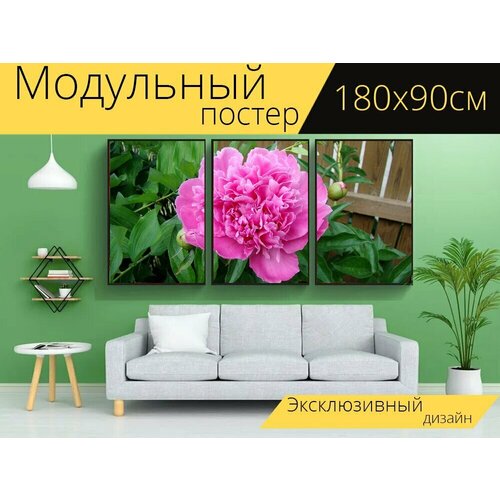 Модульный постер "Цветок, пион, цветение" 180 x 90 см. для интерьера