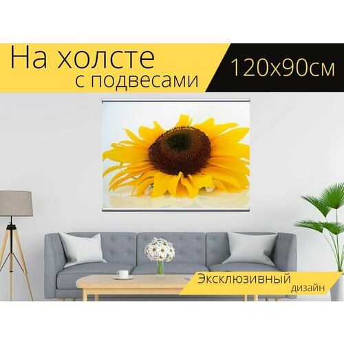 Картина на холсте "Подсолнух, цветок, подсолнечник" с подвесами 120х90 см. для интерьера