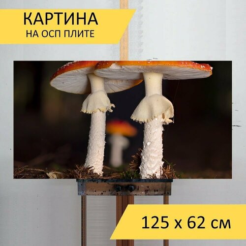 Картина на ОСП 125х62 см. "Поганка, грибы, гриб" горизонтальная, для интерьера, с креплениями