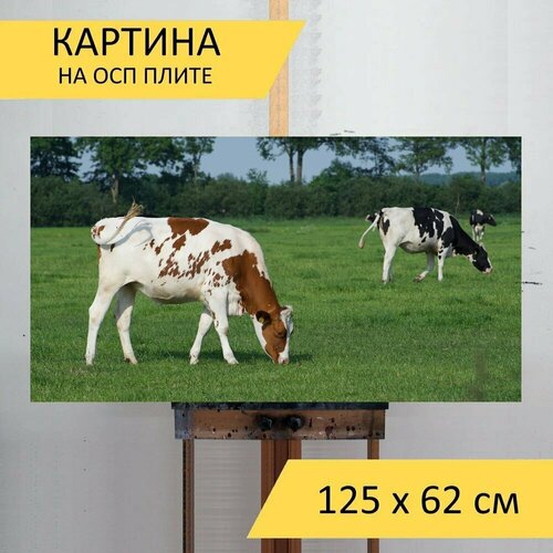 Картина на ОСП 125х62 см. "Коровы, животные, корова" горизонтальная, для интерьера, с креплениями