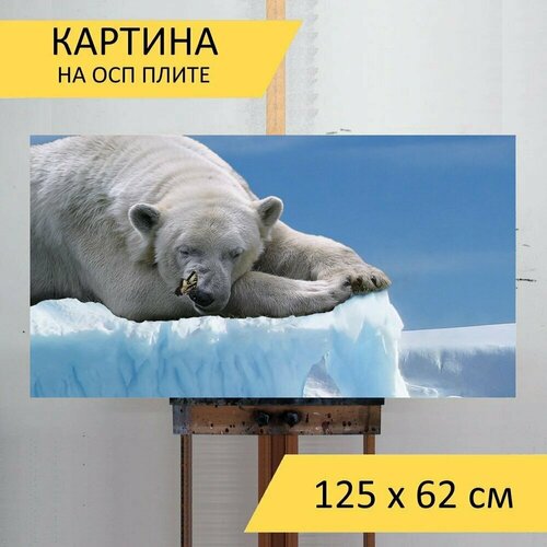 Картина на ОСП 125х62 см. "Медведь, полярный медведь, белый" горизонтальная, для интерьера, с креплениями