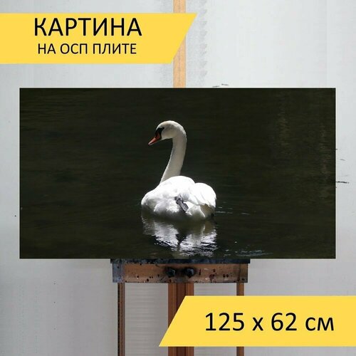 Картина на ОСП 125х62 см. "Лебедь, плавание, животное" горизонтальная, для интерьера, с креплениями
