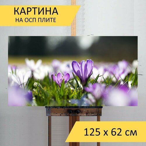 Картина на ОСП 125х62 см. "Цветы, поле, фиолетовые цветы" горизонтальная, для интерьера, с креплениями
