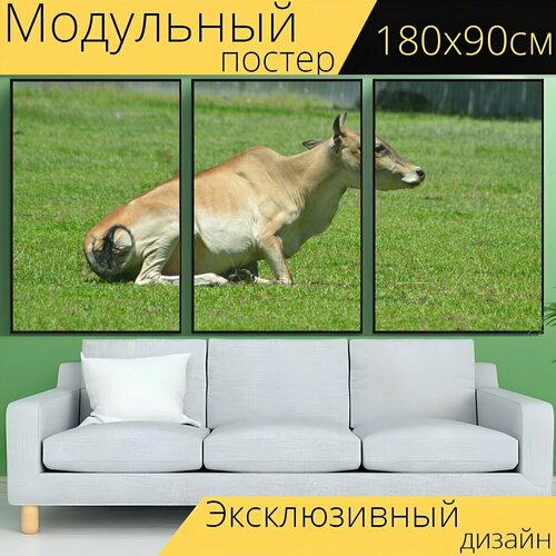 Модульный постер "Корова, млекопитающее, животное" 180 x 90 см. для интерьера
