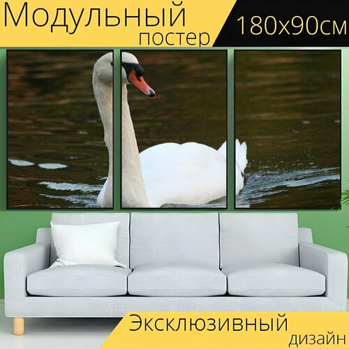Модульный постер "Лебедь, озеро, белый лебедь" 180 x 90 см. для интерьера