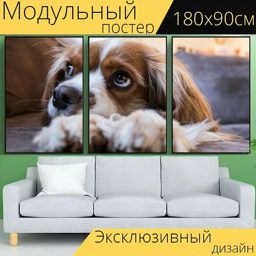 Модульный постер "Собака, щенок, домашний питомец" 180 x 90 см. для интерьера