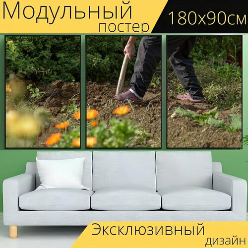 Модульный постер "Садоводство, поле, картошка" 180 x 90 см. для интерьера