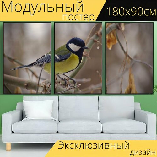 Модульный постер "Синица, птица, природа" 180 x 90 см. для интерьера