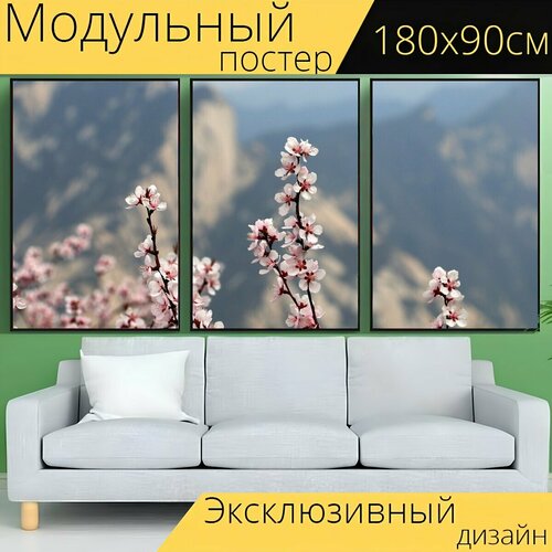 Модульный постер "Сиань, цветок сливы, горная вершина" 180 x 90 см. для интерьера