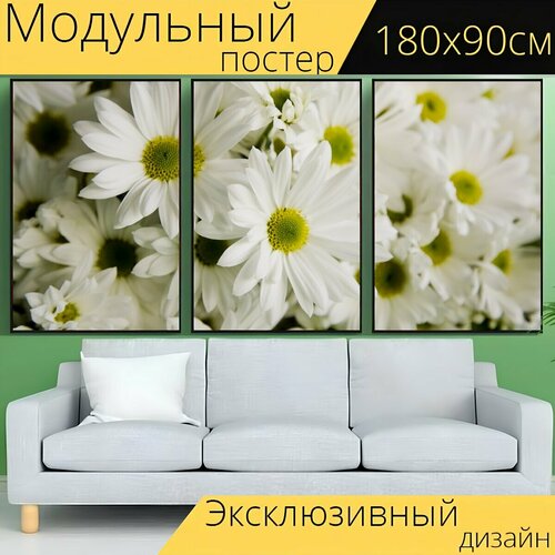 Модульный постер "Хризантема, цветок, природа" 180 x 90 см. для интерьера
