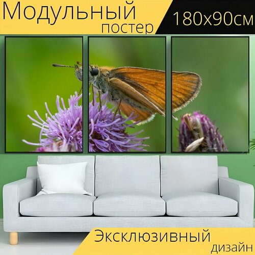 Модульный постер "Бабочка, цвести, ствол" 180 x 90 см. для интерьера