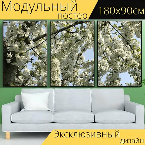 Модульный постер "Вишня, цвести, весна" 180 x 90 см. для интерьера
