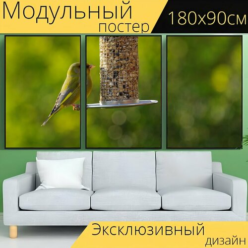 Модульный постер "Зеленушка, сидя, садовая птица" 180 x 90 см. для интерьера