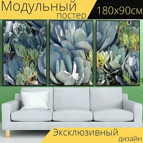 Модульный постер "Сочный, растения, природа" 180 x 90 см. для интерьера