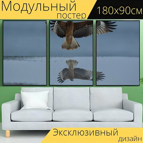 Модульный постер "Животное, море, птица" 180 x 90 см. для интерьера