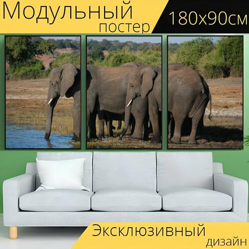 Модульный постер "Дикая природа, слон, млекопитающее" 180 x 90 см. для интерьера