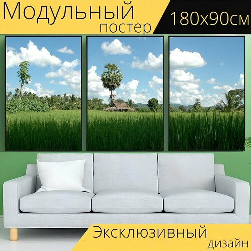Модульный постер "Таиланд, пейзаж, рисовые поля" 180 x 90 см. для интерьера