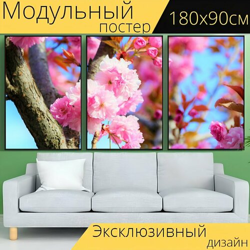 Модульный постер "Цветок, природа, весна" 180 x 90 см. для интерьера